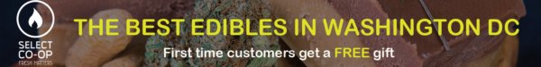 The 2024 Guide to Safe and Legal Edibles in Washington DC