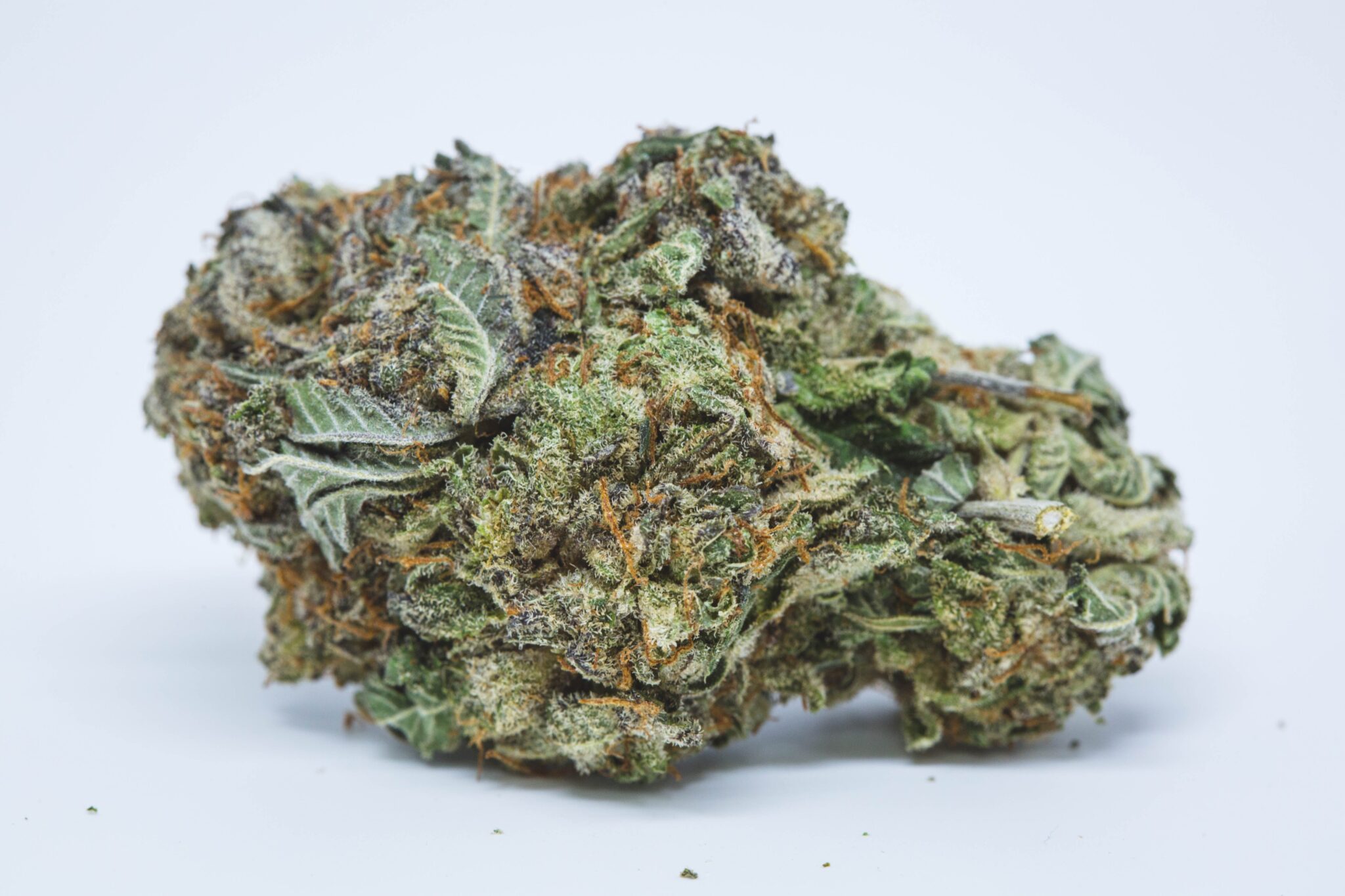 Purple Haze Strain Review from Select Co-Op