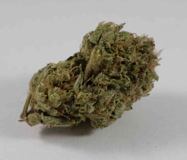 Sour pebbles Strain Review from Select Co-Op