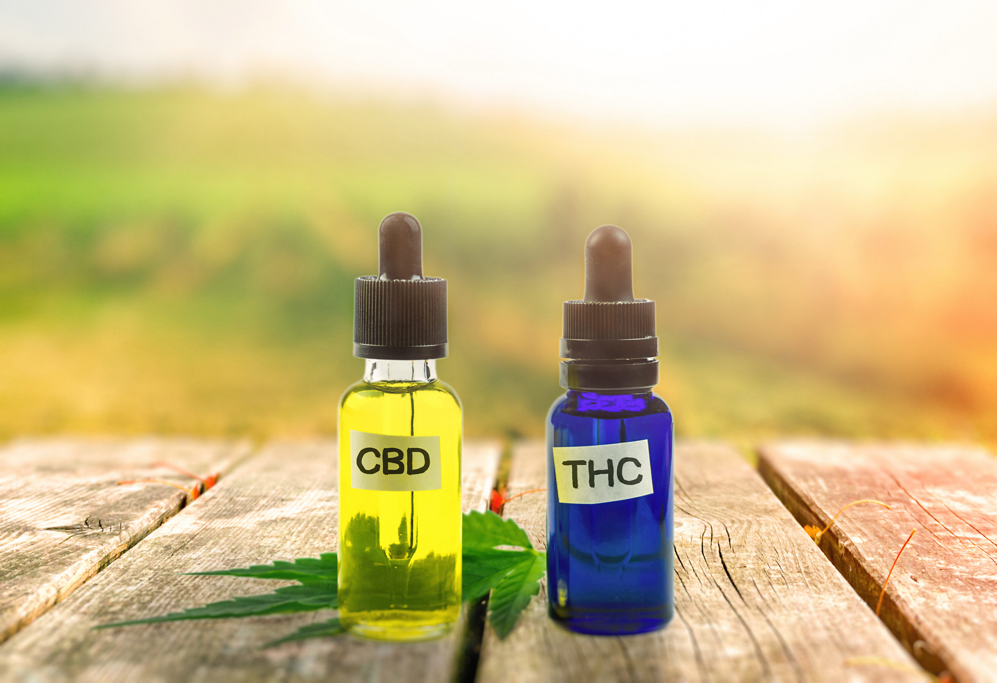 CBD vs. THC: Understanding the Key Differences from Select Co-Op