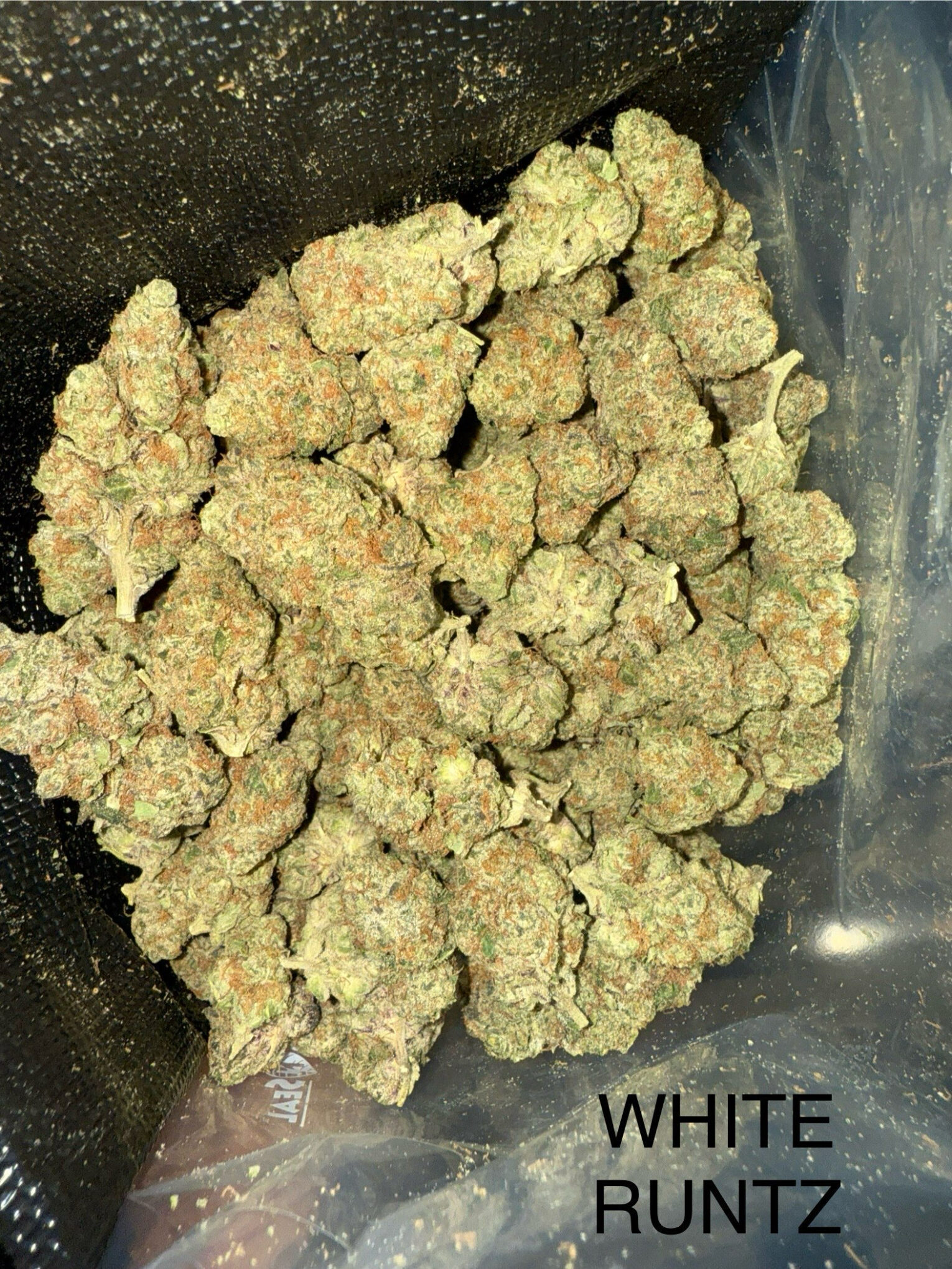 White Runtz Delivery - Top-Quality Cannabis | Select Co-Op DC