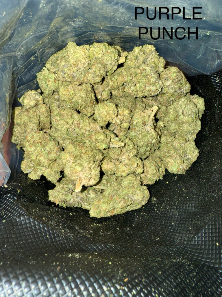 The Best Indica Strains of 2025 from Select Co-Op