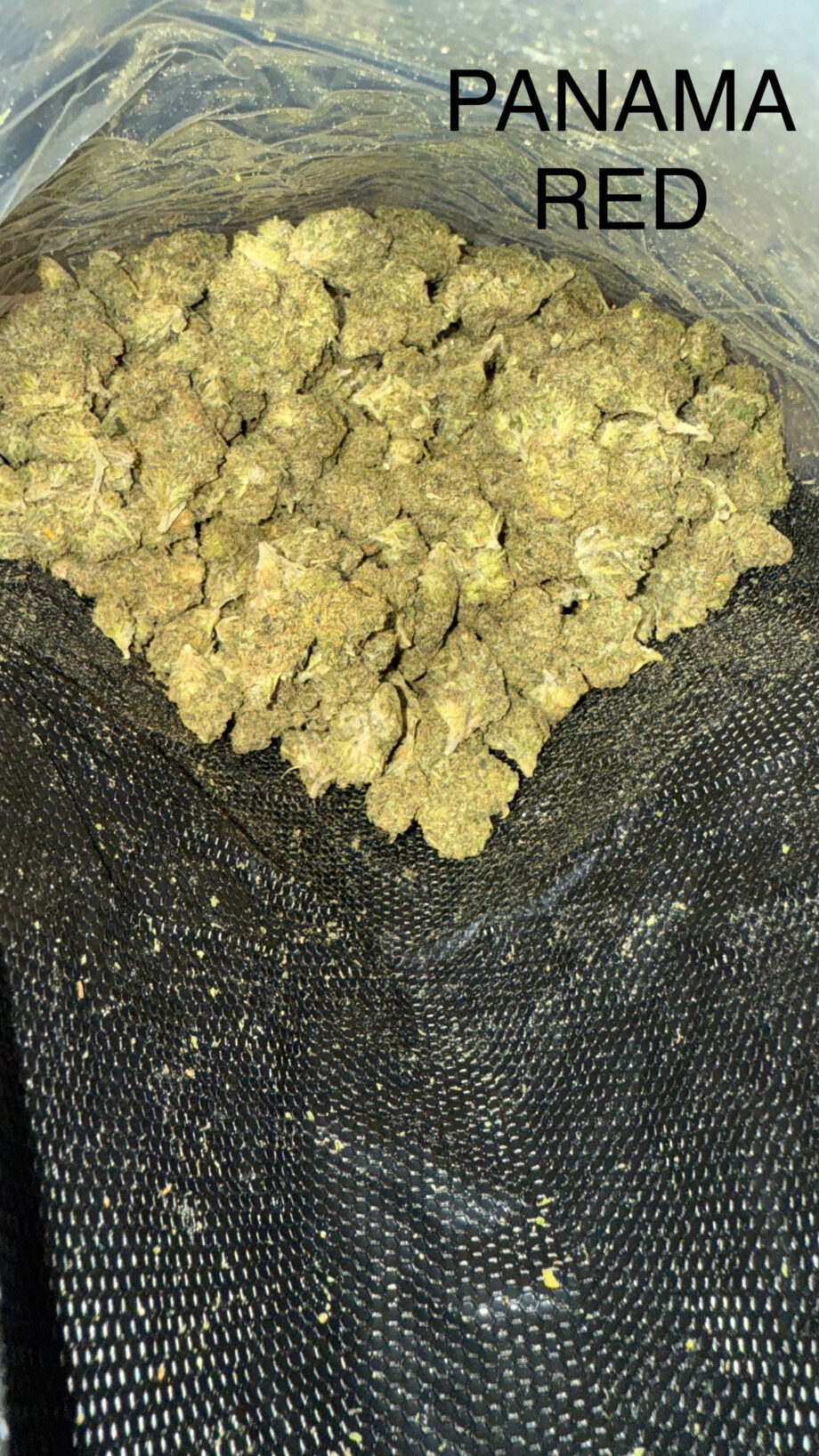 Panama Red Delivery - Top-Quality Cannabis | Select Co-Op DC